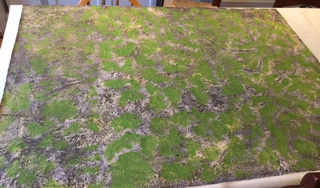 Saga in 6mm – Part 7 -Terrain – Roll a One – Wargaming Blog
